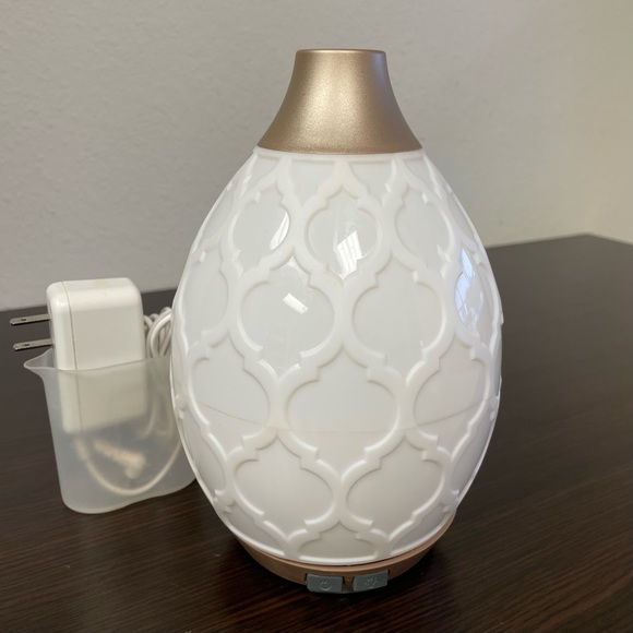 Young Living | Other | Young Living Desert Mist Diffuser | Poshmark